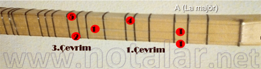 Kısa Sap Bağlamada Akor Basmak | Notalar Net | Kolay Nota