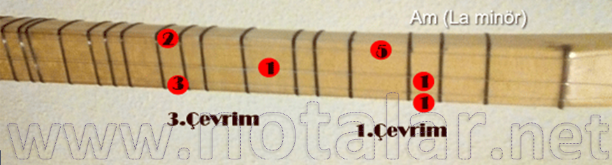 Kısa Sap Bağlamada Akor Basmak | Notalar Net | Kolay Nota