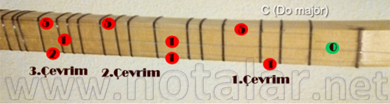 Kısa Sap Bağlamada Akor Basmak | Notalar Net | Kolay Nota
