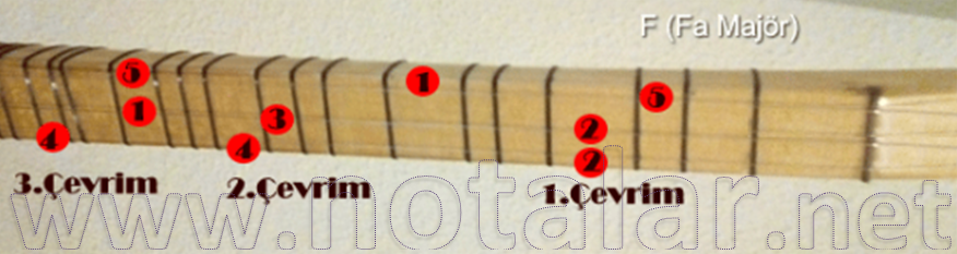 Uzun Sap Bağlamada Akor Basmak | Notalar Net | Kolay Nota